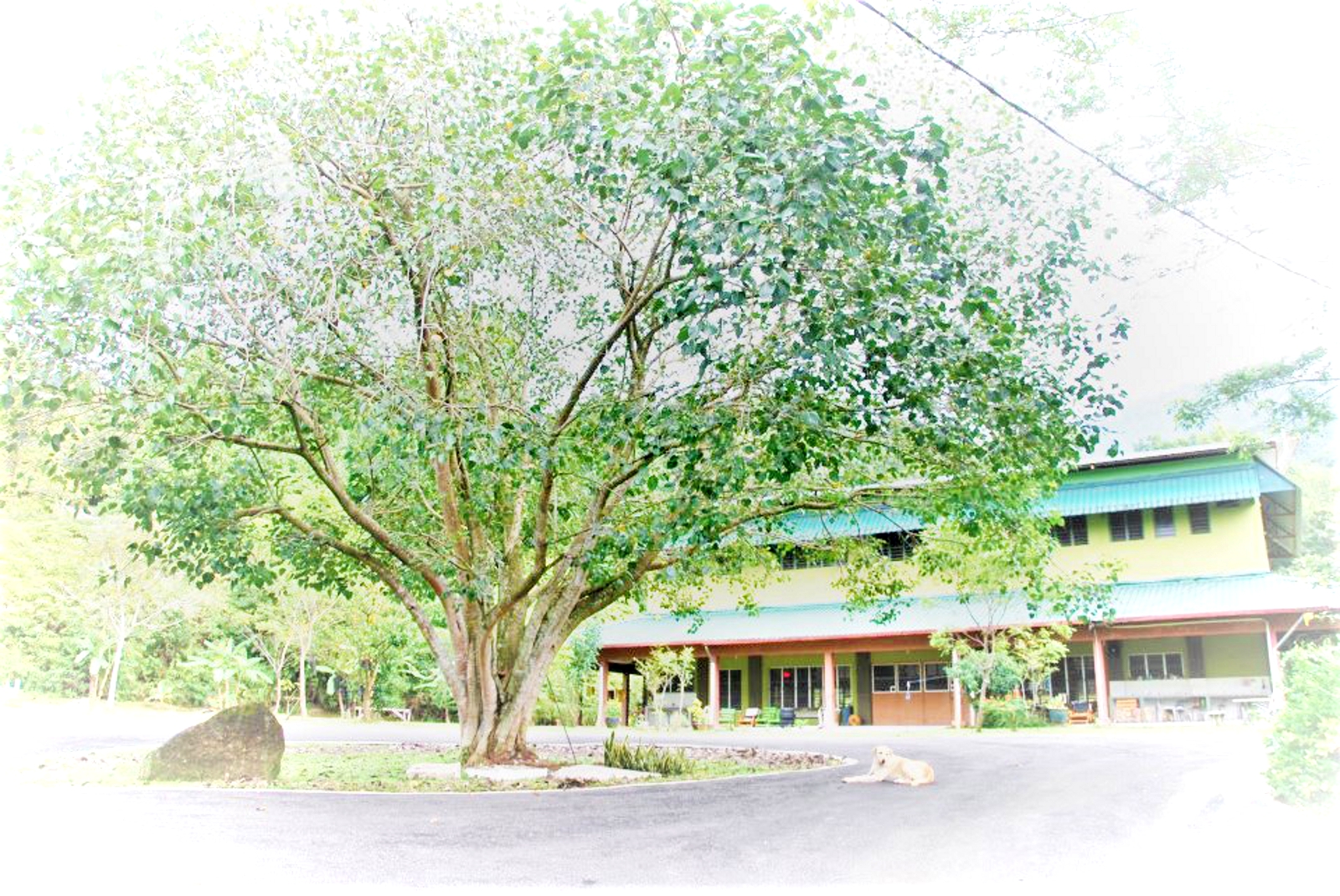 Vihara Buddha Gotama | VBG